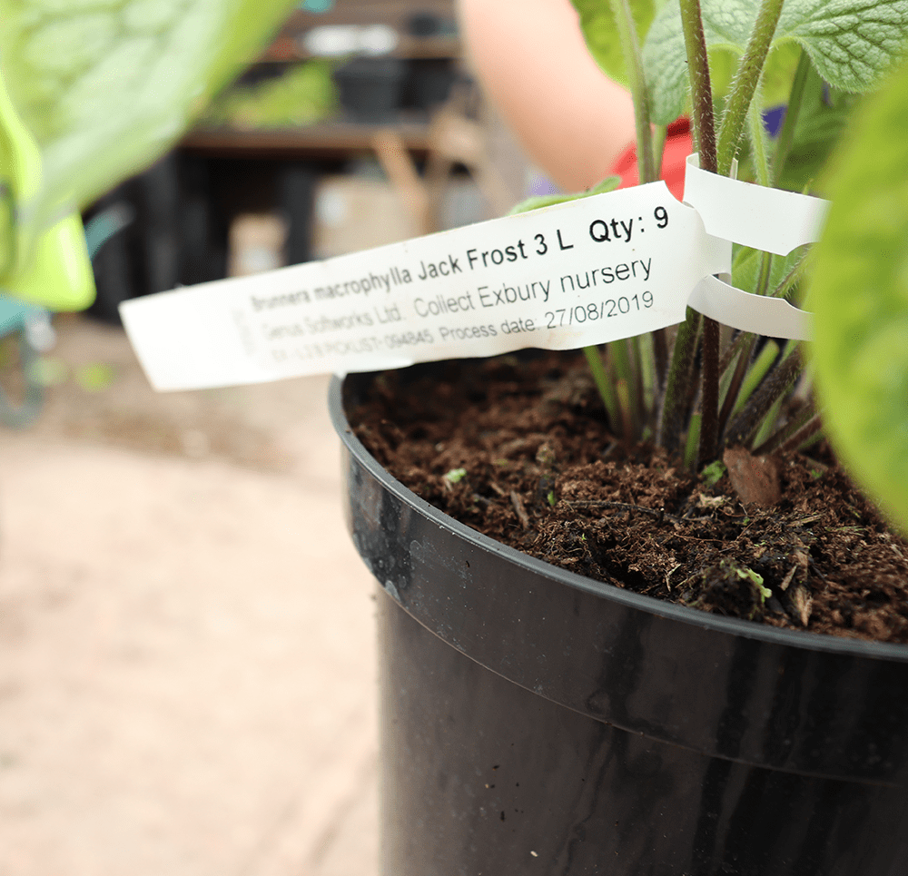 Horticulture Labels | Dura-ID Solutions Limited